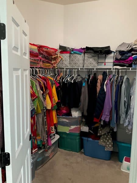 The Ultimate Guide to Solving Closet Problems - Learn how to reduce ...
